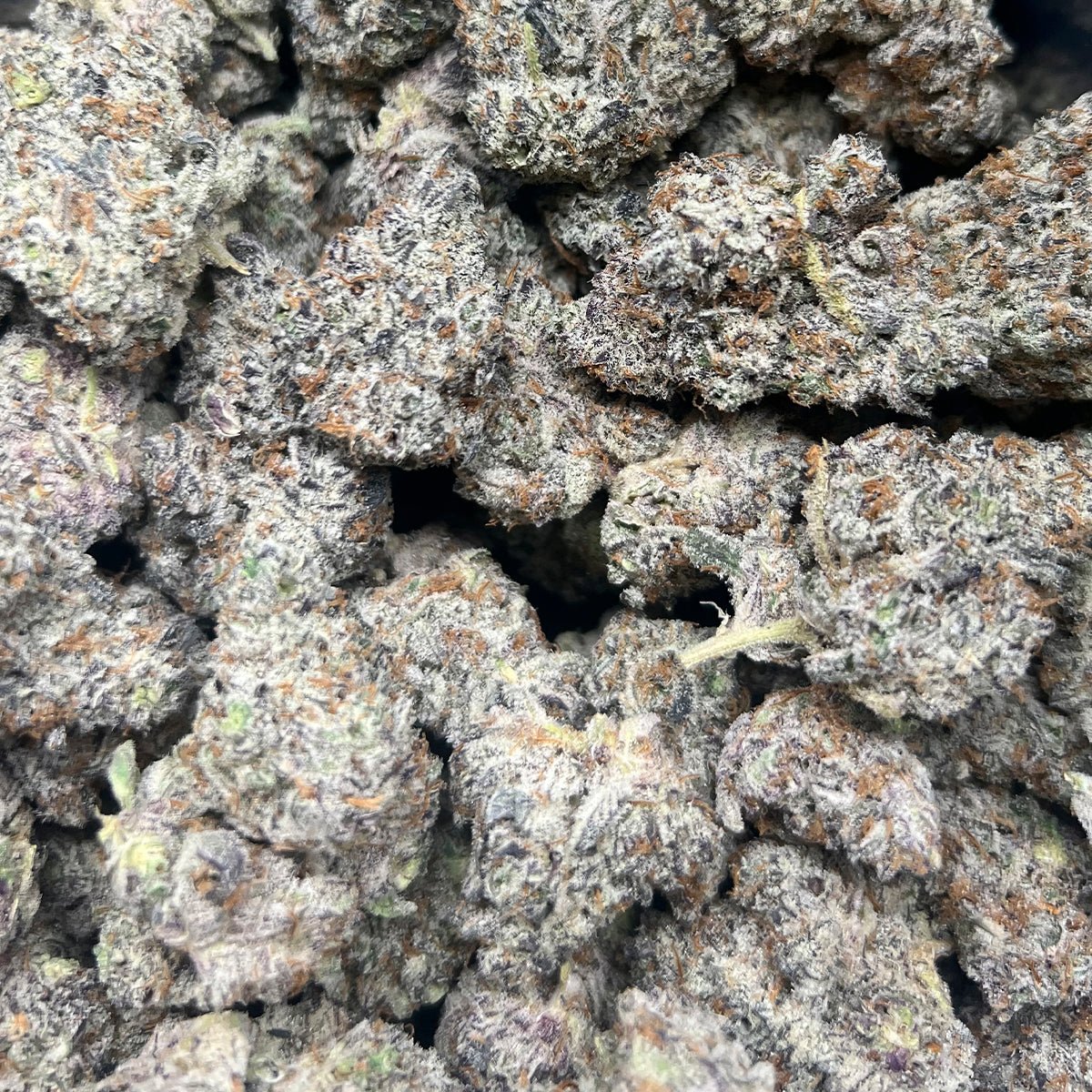 Shop Now - Highly Legal Herbs